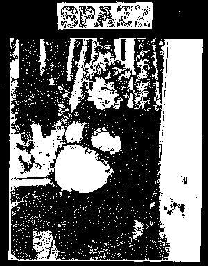 SPAZZ patch – pukenvomitrecords.com